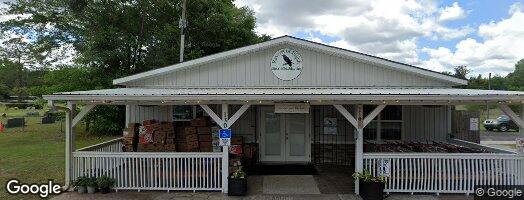 RAVENS OF ELIJAH - Lemontree