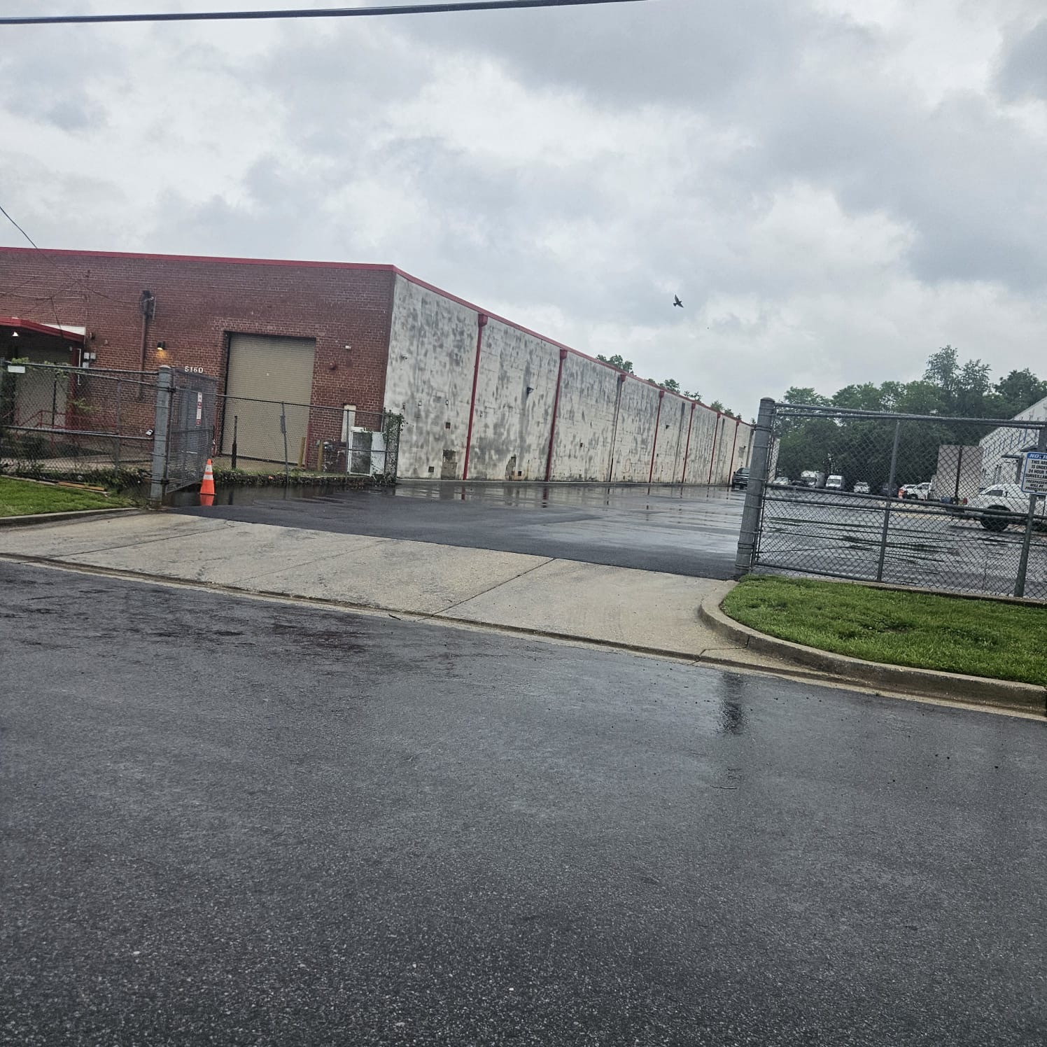 Everlasting Joy Foundation - Lemontree